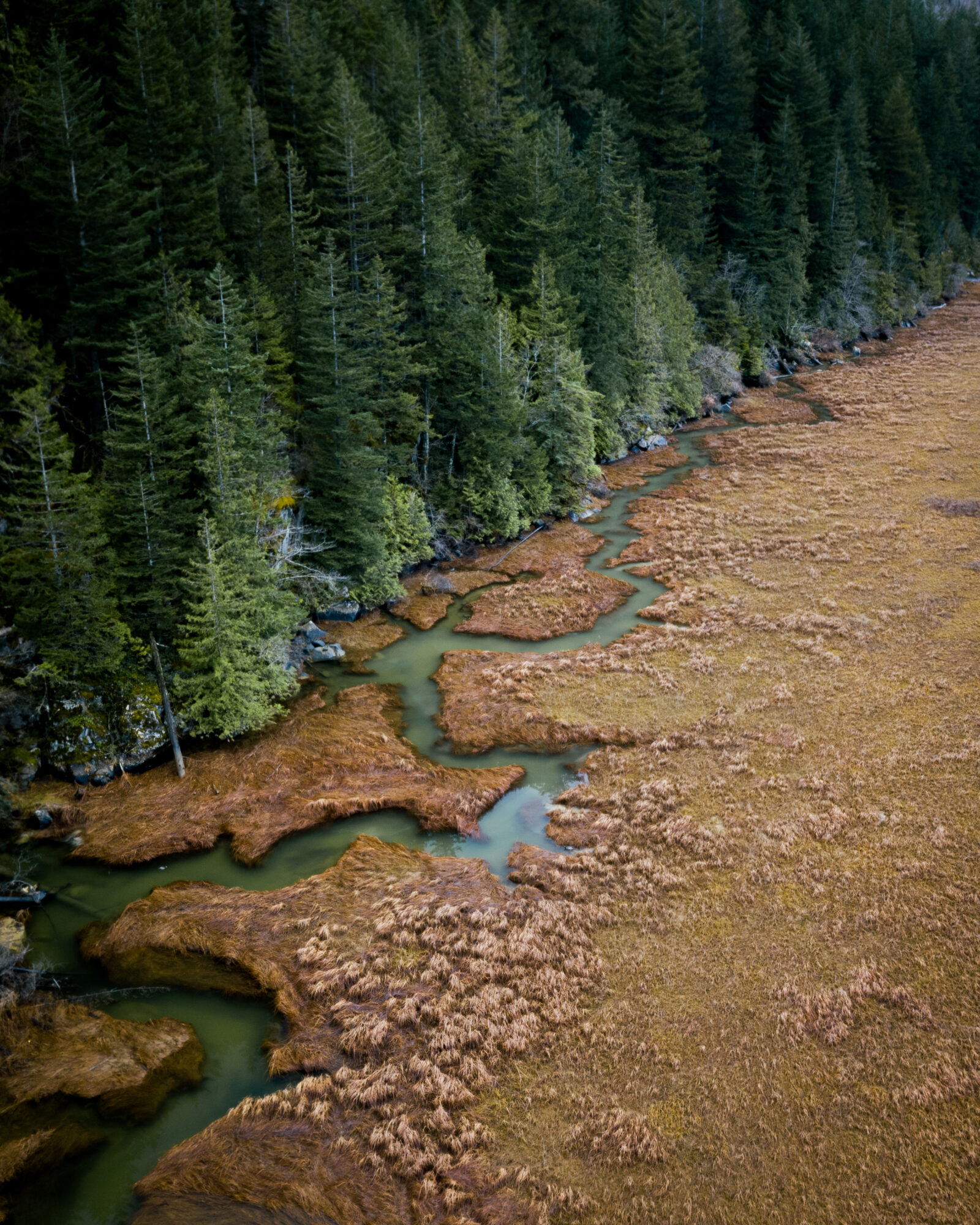 Our Land - Squamish Nation